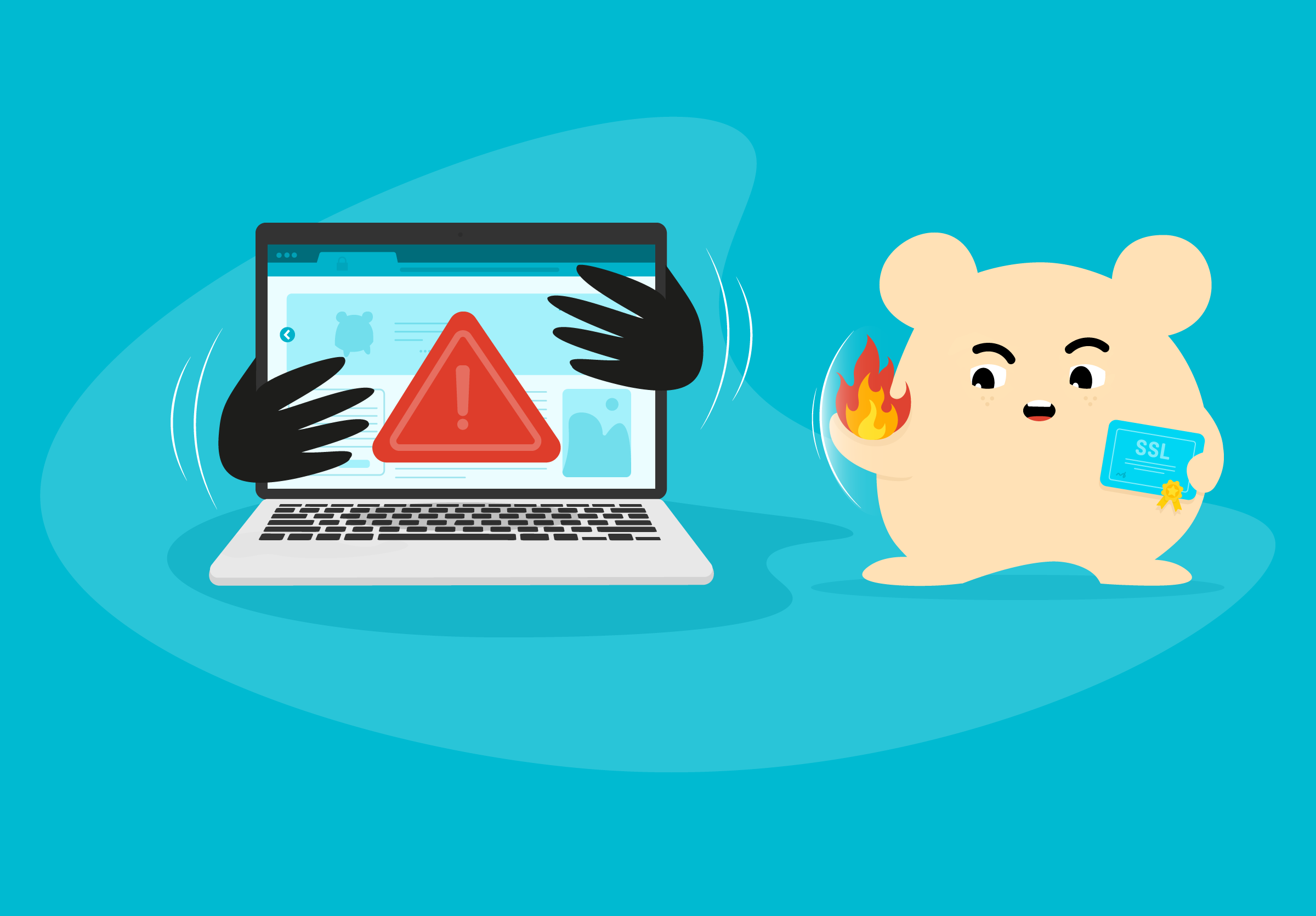 What is SSL and How Does it Work? | Hostens